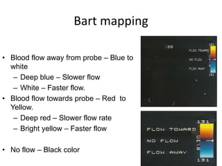 Canine Echocardiography -Dr Venkatesh S M.pptx