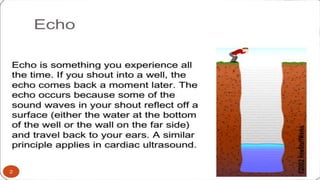 Echocardiography basics | PPTX | Heart and Cardiovascular Diseases | Diseases and Conditions