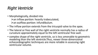 Echocardiography | PPTX