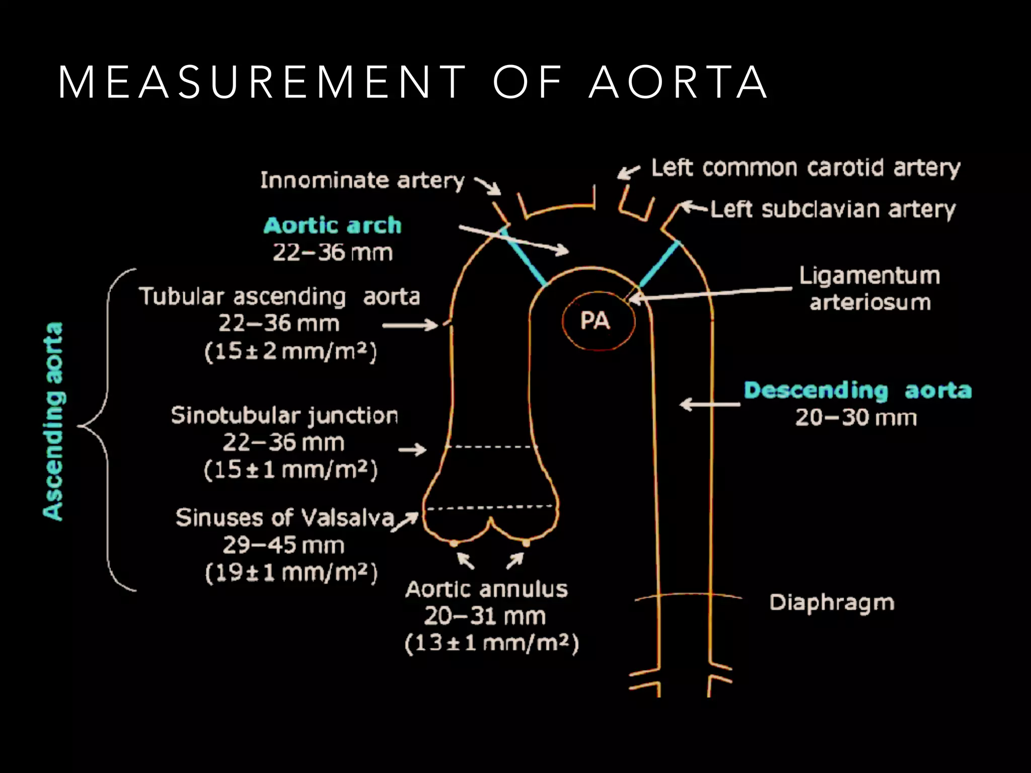 Echocardiography in aortic valve disease | PDF
