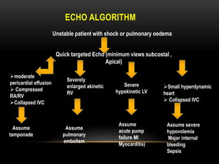 Echocardiography in cardiac emergency | PPTX