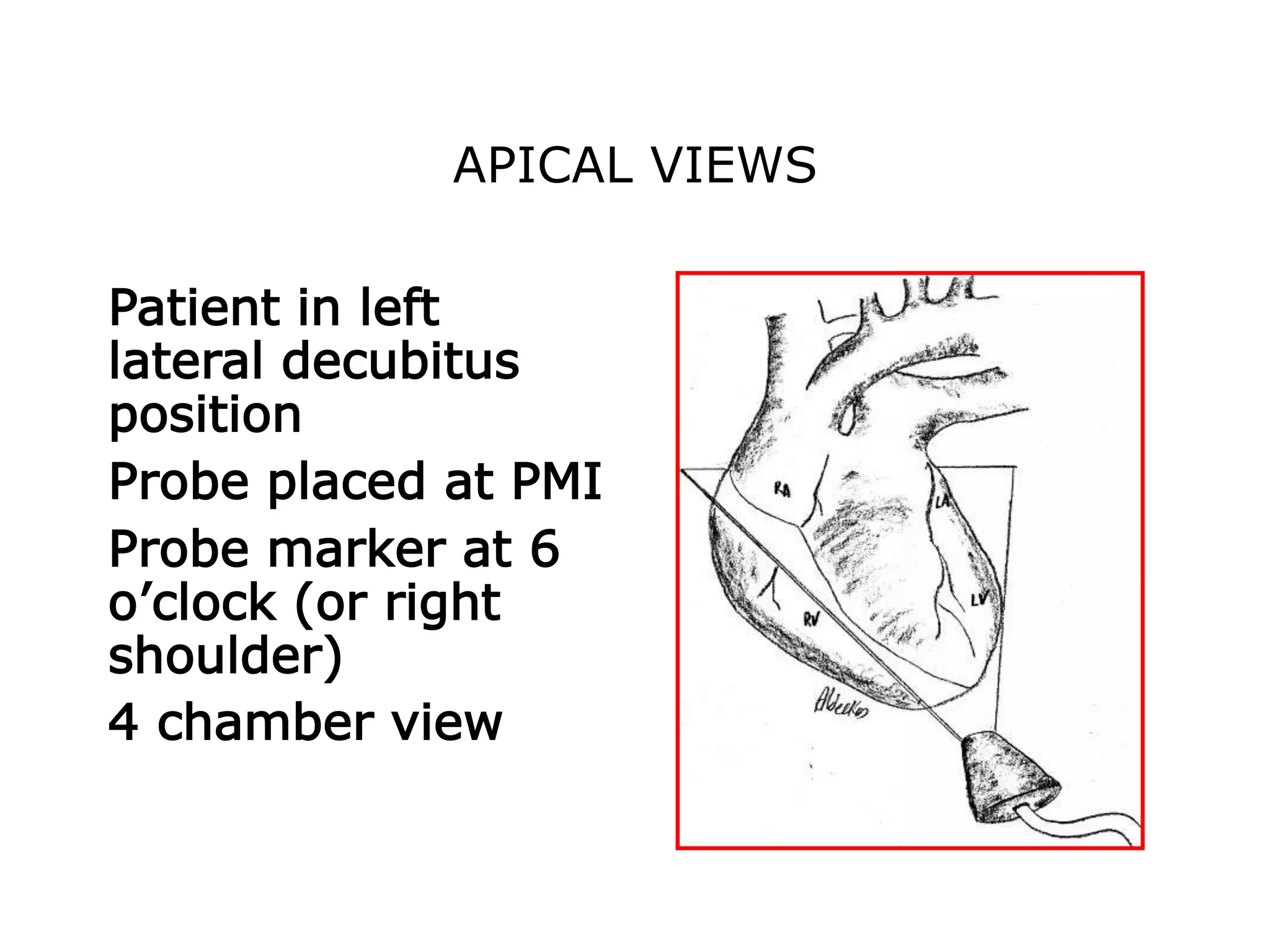 Echocardiography in ER 2020 | PPT