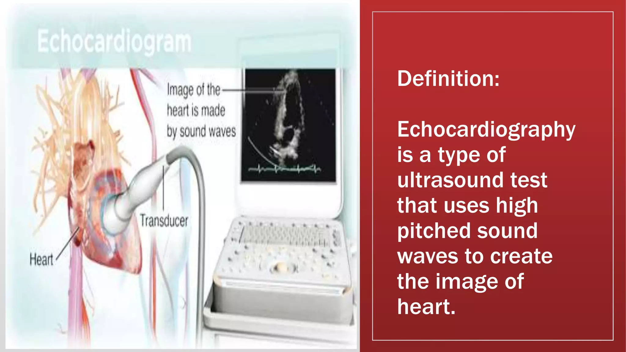 Echocardiography | PPTX