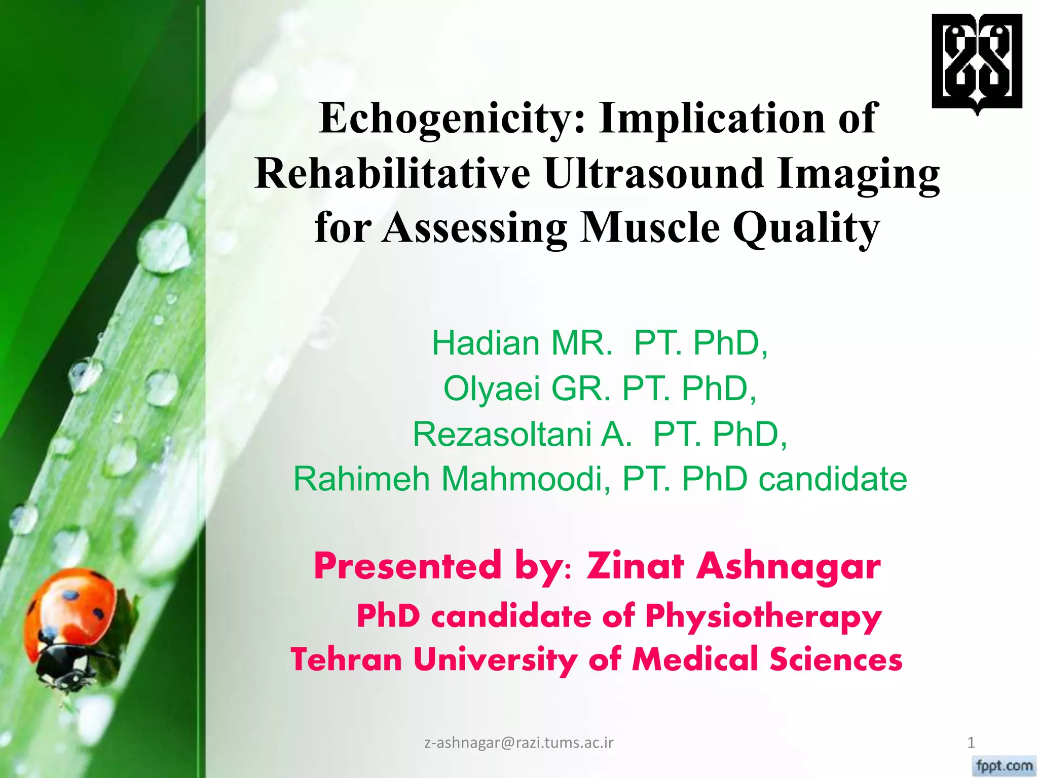 Echogenicity: Implication of Rehabilitative Ultrasound Imaging for ...