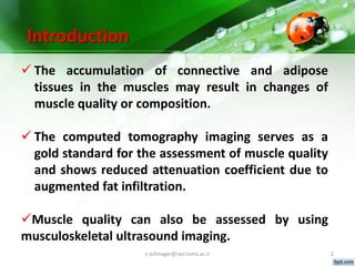 Echogenicity: Implication of Rehabilitative Ultrasound Imaging for ...