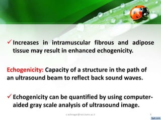Echogenicity: Implication of Rehabilitative Ultrasound Imaging for ...