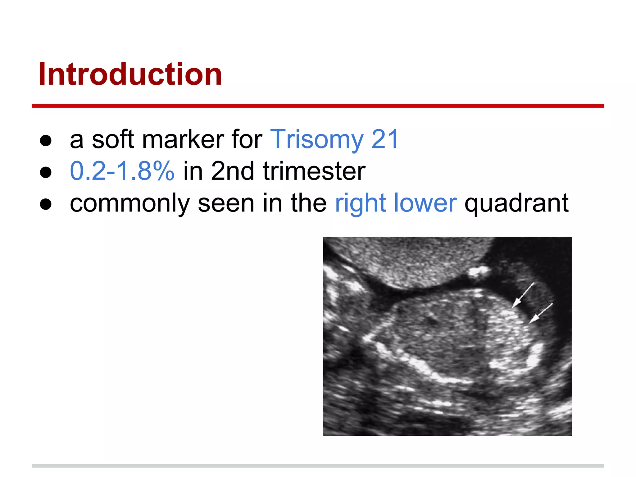 Echogenic fetal bowel | PDF