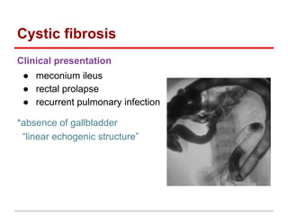 Echogenic fetal bowel | PDF