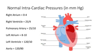Echo hemodynamics by Avneesh Raj | PPTX