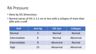 Echo hemodynamics by Avneesh Raj | PPTX