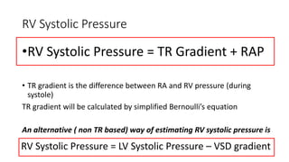 Echo hemodynamics by Avneesh Raj | PPTX
