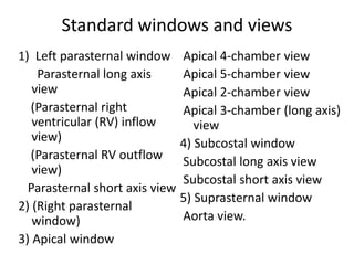 Echo indications | PPTX