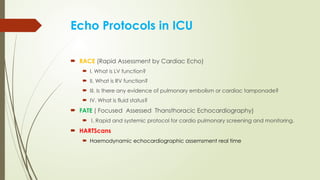 Echocardiography in intensive care unit | PPTX