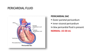 ECHOCARDIOGRAPHY IN CARDIAC TAMPONADE | PPTX