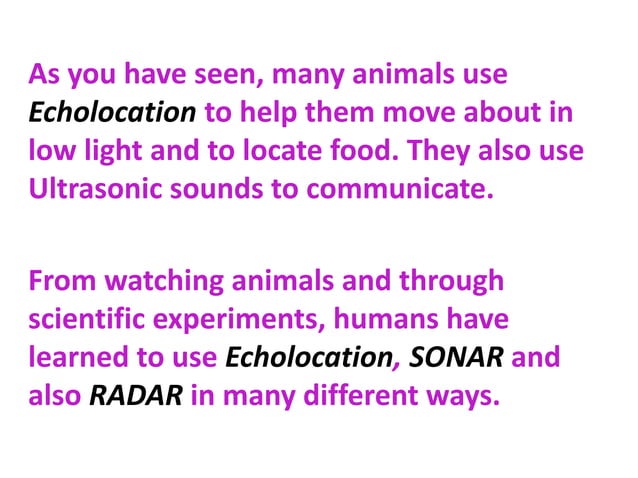 Echolocation | PPTX | Digital Audio | Computer Software and Applications