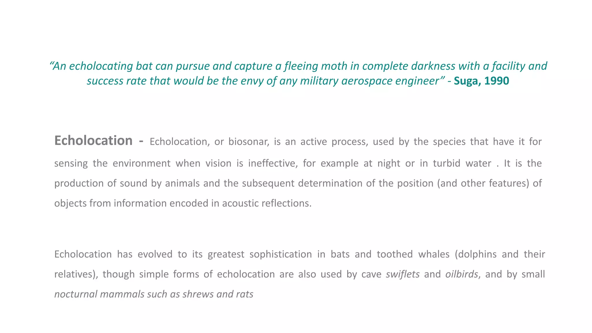 Echolocation in Bats | PPTX | Digital Audio | Computer Software and ...
