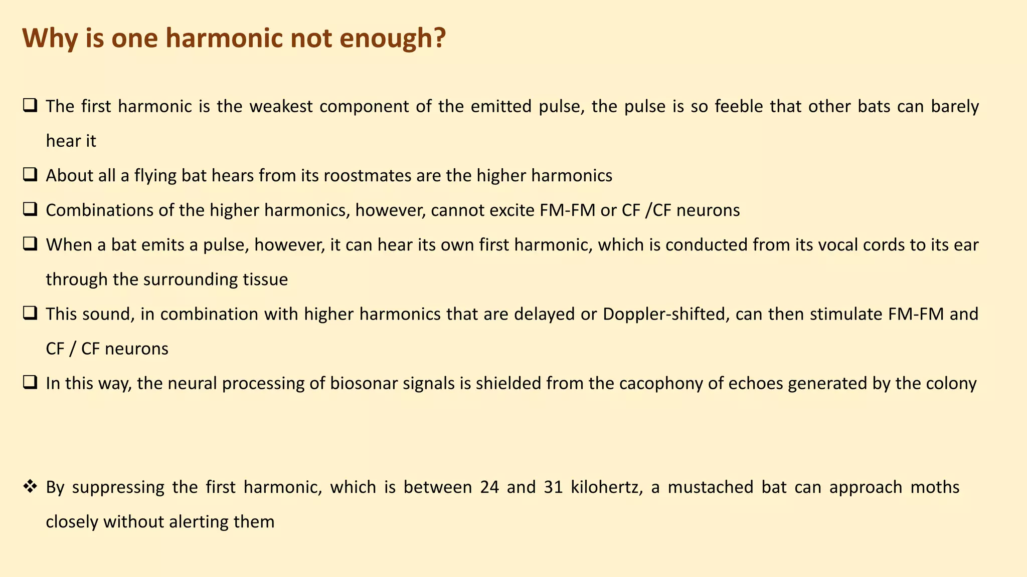 Echolocation in Bats | PPTX