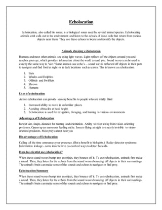 Echolocation | DOCX