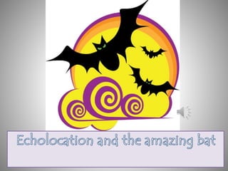 Echolocationandbatsczequeira | PPTX