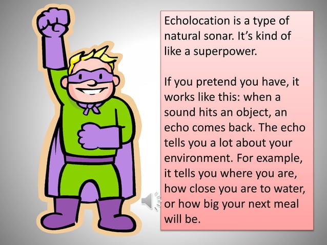 Echolocationandbatsczequeira | PPTX