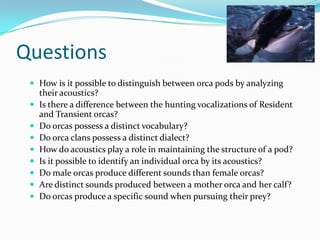 Echolocation and Bioacoustics in Orcinus orca | PPTX