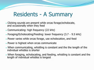 Echolocation and Bioacoustics in Orcinus orca | PPTX