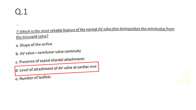 Echocardiography Multiple choice questions | PPTX