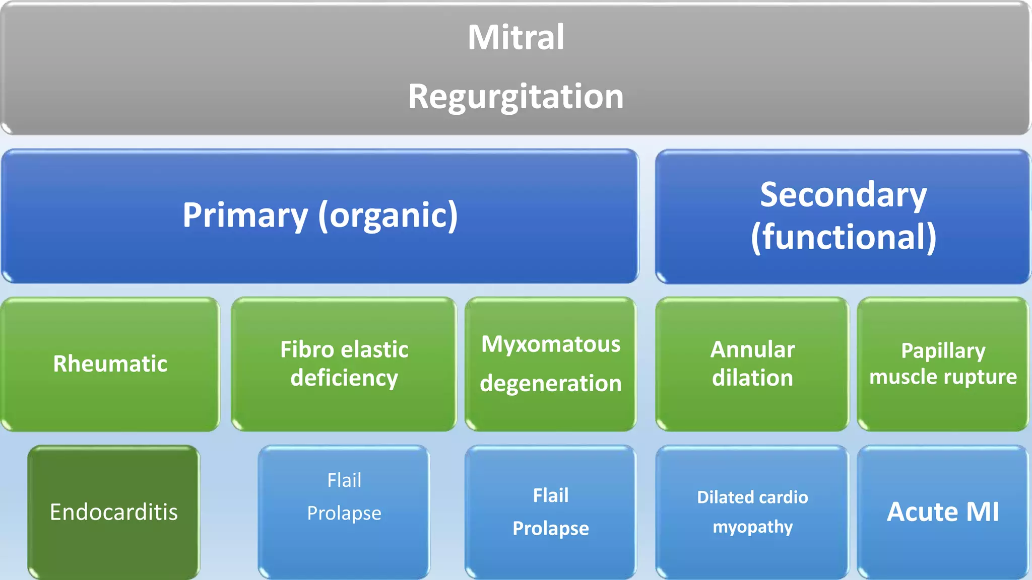 Echo Mitral Regurgitation-1.pptx