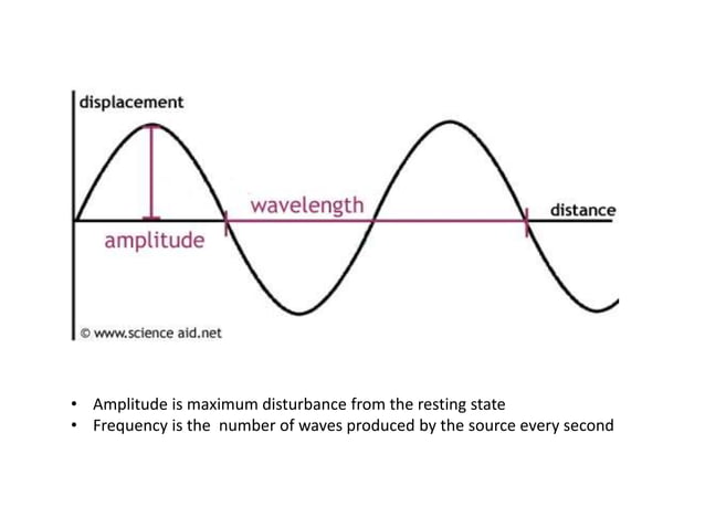Echo Physics and Doppler | PPT