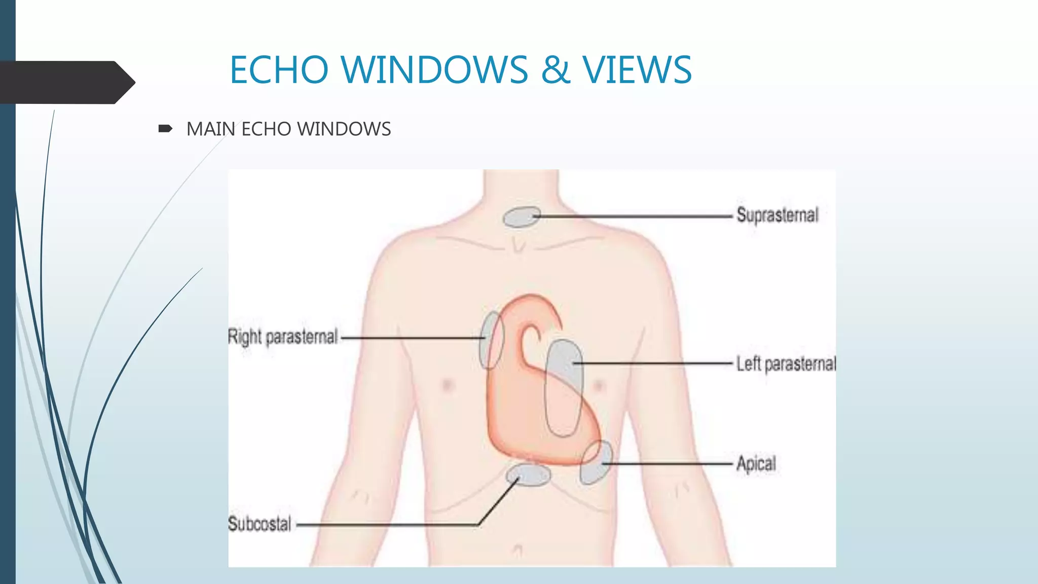 ECHO WINDOWS AND VIEWS.pptx