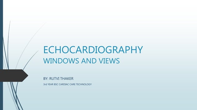 ECHO WINDOWS AND VIEWS.pptx | Digital Audio | Computer Software and Applications