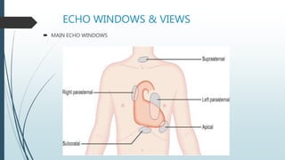 ECHO WINDOWS AND VIEWS.pptx