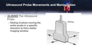 Echo ppt1 Akhtar Totakhail.pptx