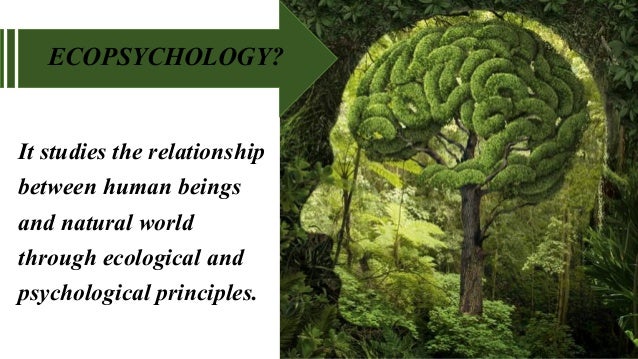 Presentation on Ecopsychology