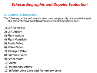 Echocardiogram Report