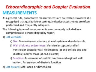 Echocardiogram Report