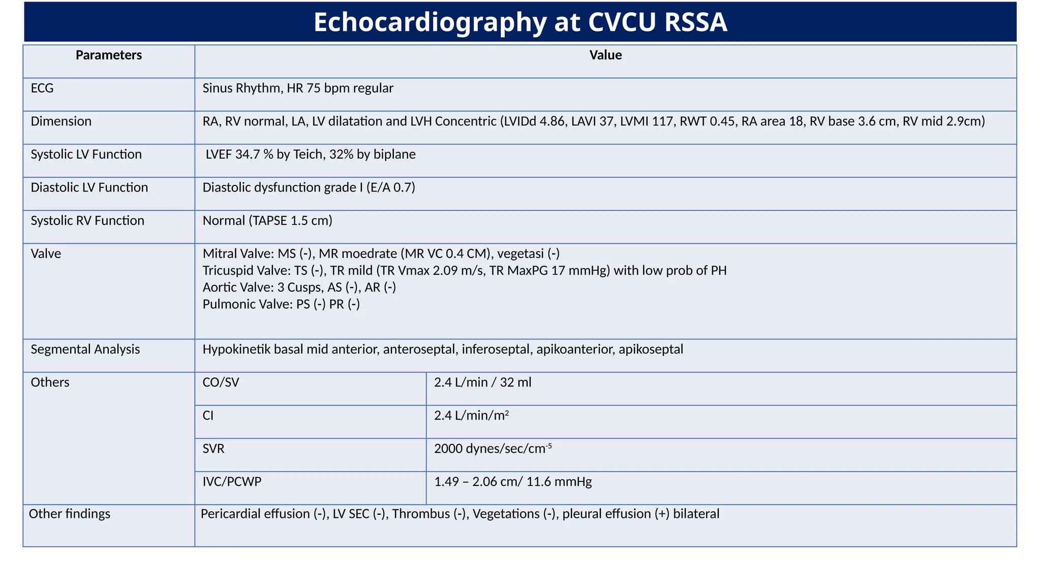 Echocardiography NH copy RWMA new ll.pptx