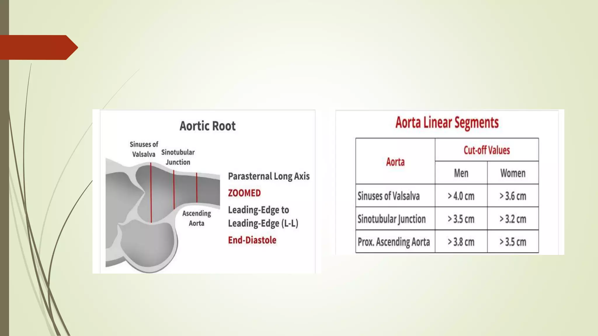 ECHO views and measurements-Dr. Razu.pptx