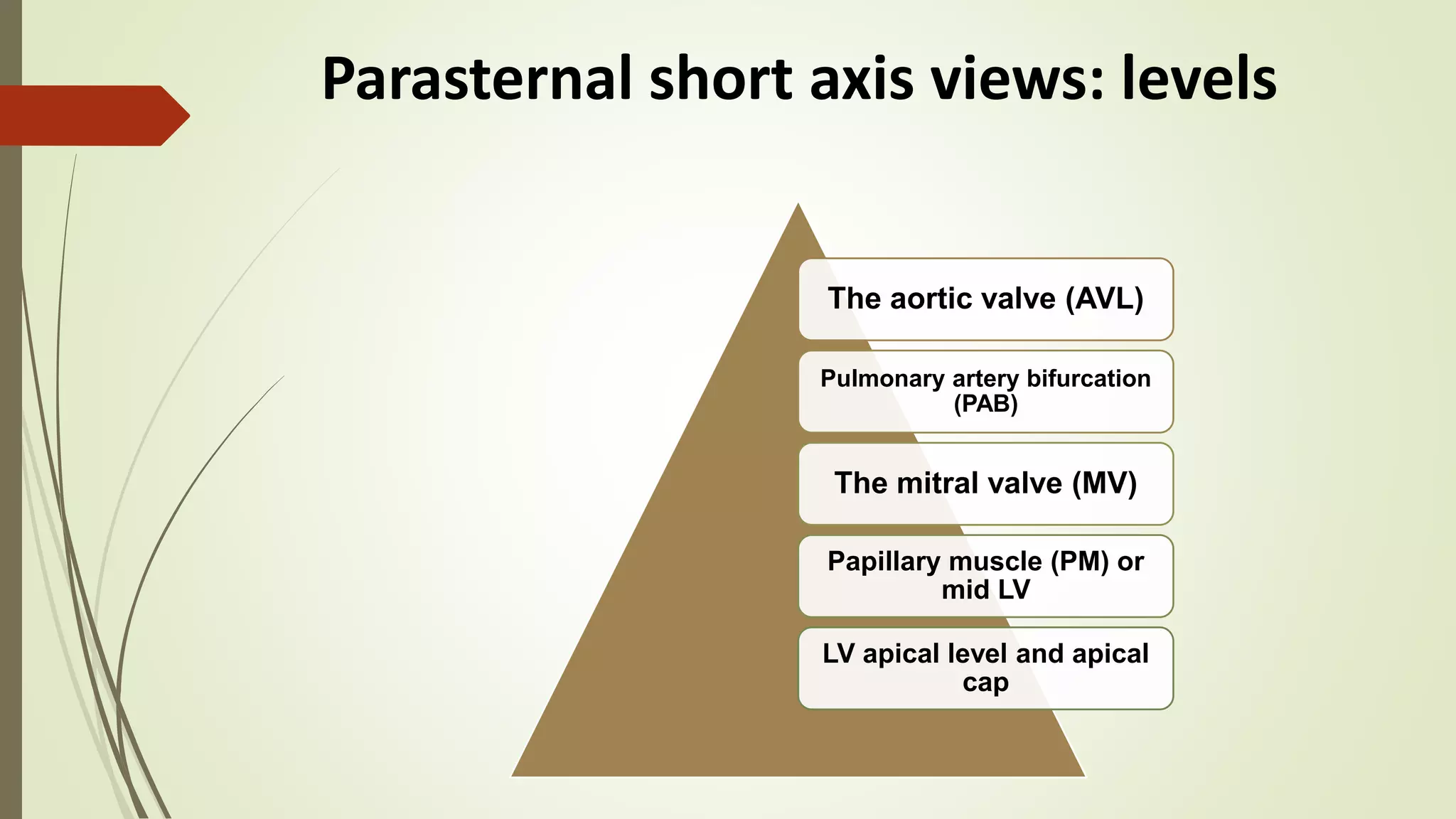 ECHO views and measurements-Dr. Razu.pptx