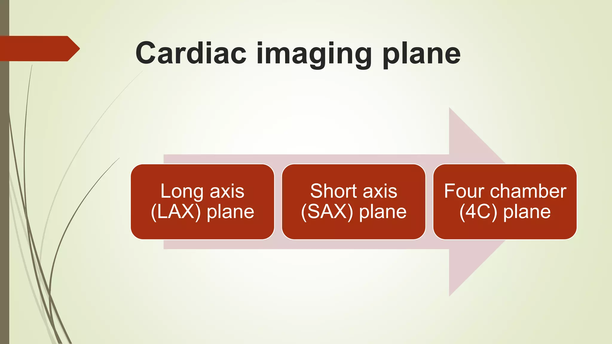 ECHO views and measurements-Dr. Razu.pptx