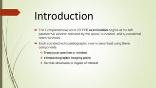 ECHO views and measurements-Dr. Razu.pptx