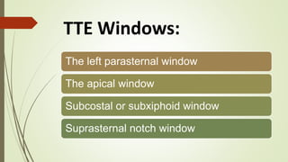 ECHO views and measurements-Dr. Razu.pptx
