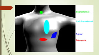 ECHO views and measurements-Dr. Razu.pptx