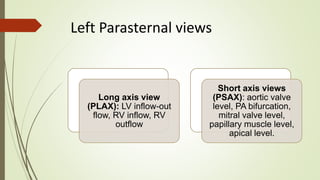 ECHO views and measurements-Dr. Razu.pptx