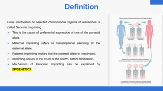EXTRA CHROMOSOMAL INHERITANCE & GENOME IMPRINTING | PPTX