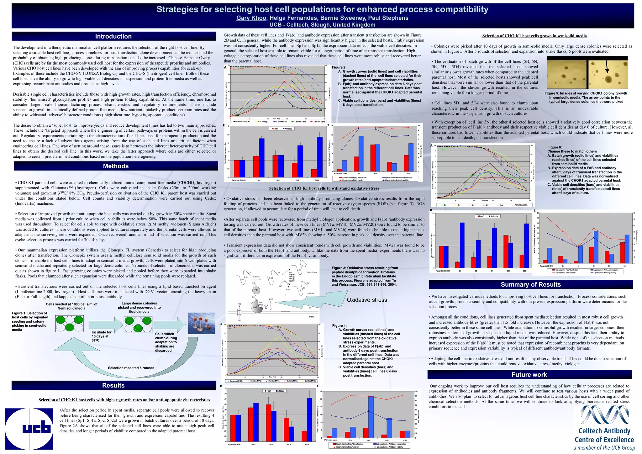 Eci 2008 Cell Line Selection | PPT