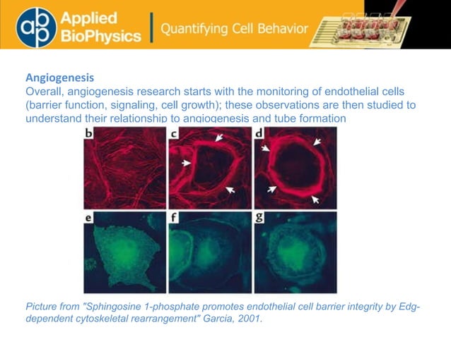 Ecis Applied Biophysics | PPT