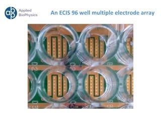 Ecis Applied Biophysics | PPT
