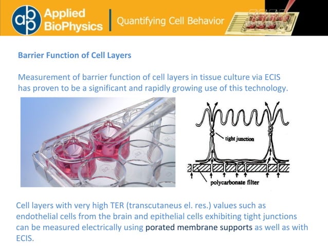 Ecis Applied Biophysics | PPT