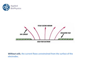Ecis Applied Biophysics | PPT